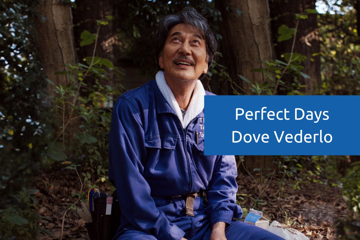 Perfect Days: Dove Vederlo in Streaming, Durata, Trama