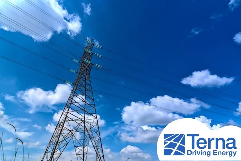 Cos'è e cosa fa Terna SpA? La Guida Completa!